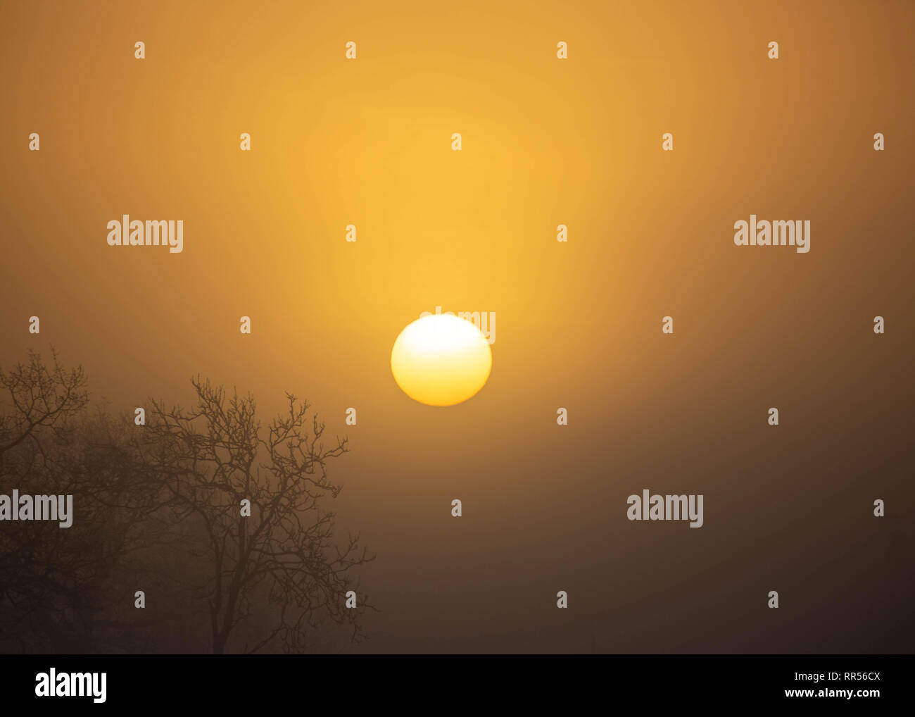 Start of sun rise hi-res stock photography and images - Alamy