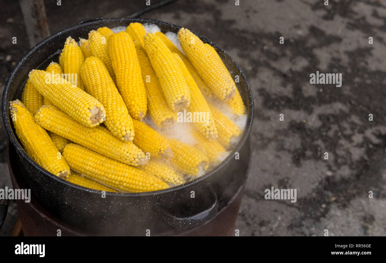 Corn cobs boiling in hot water in large pot at flea market Stock Photo ...