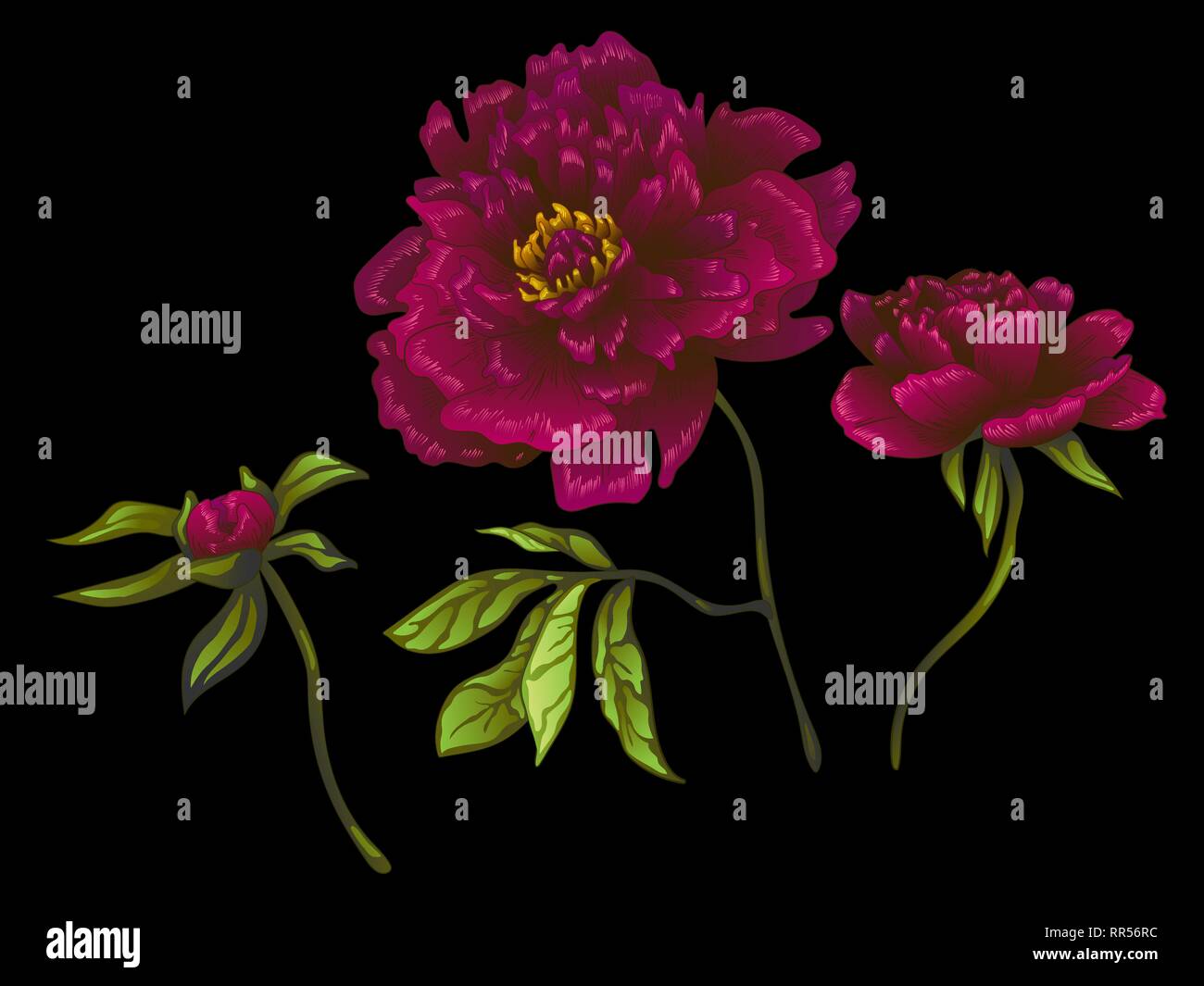 Burgundy flower Stock Vector Images - Alamy