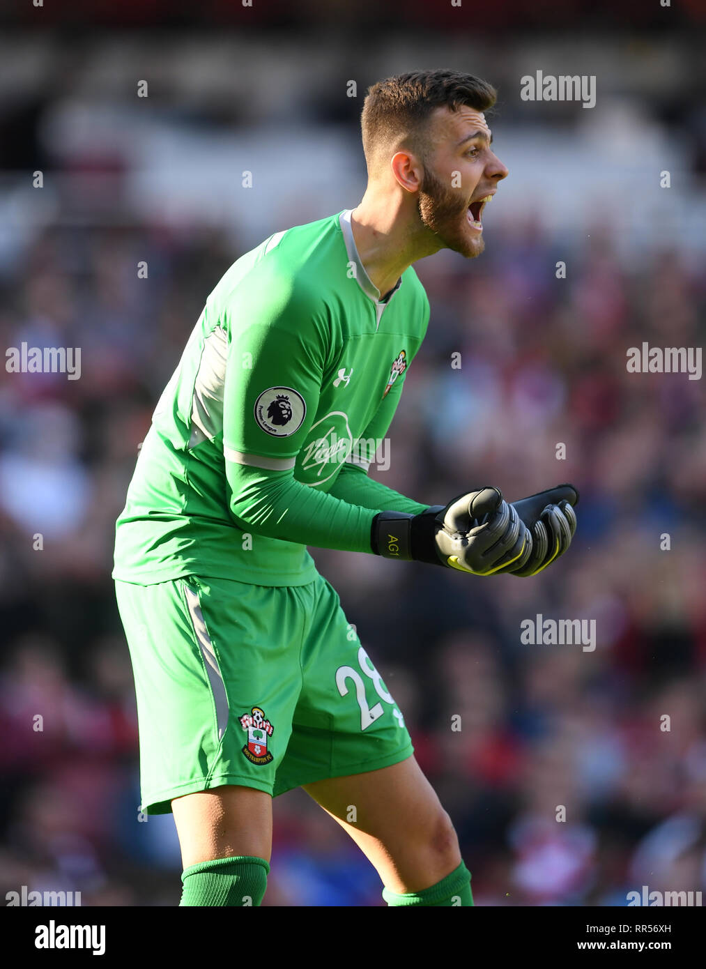 Southampton goalkeeper Angus Gunn during the Premier League match at ...