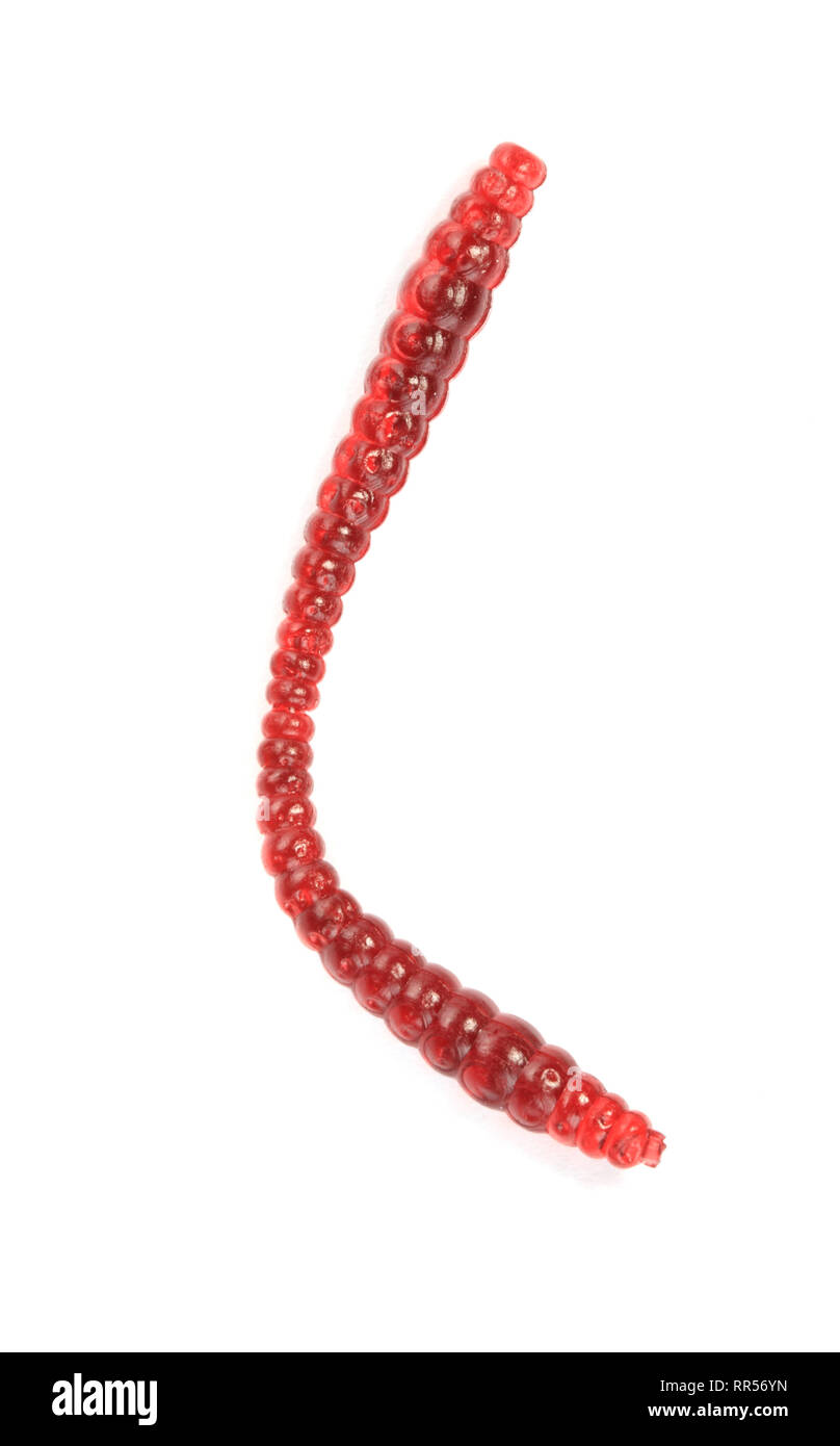 Soft Plastic EarthWorm toy Stock Photo - Alamy