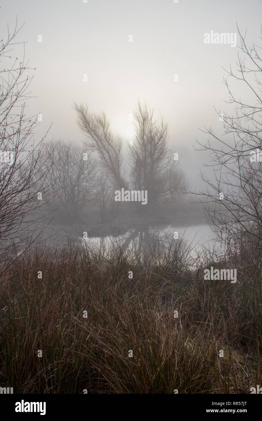 Early morning mist over pond in February Stock Photo - Alamy