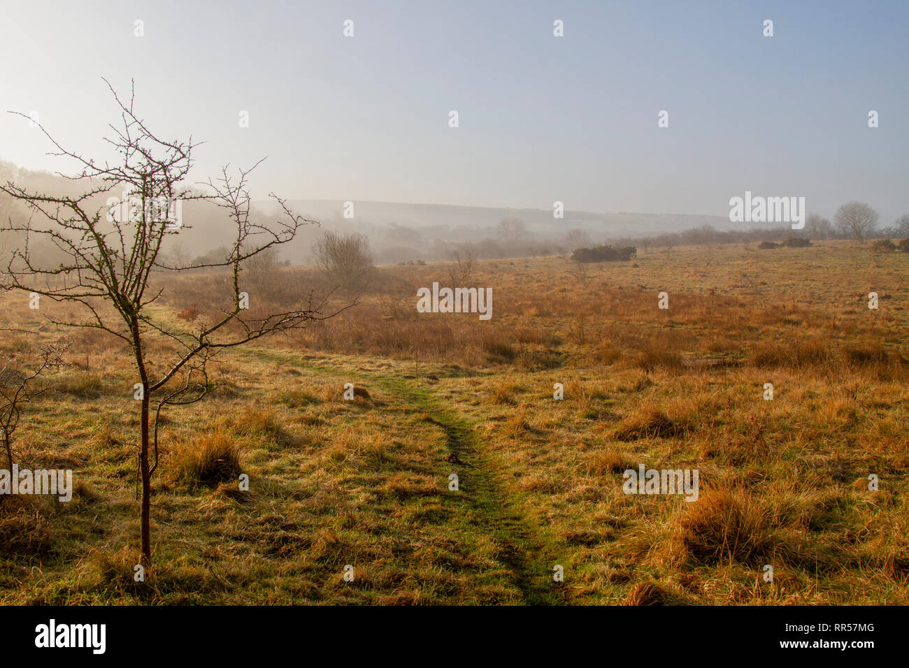 Early morning views of Waldridge Fell in late winter Stock Photo - Alamy