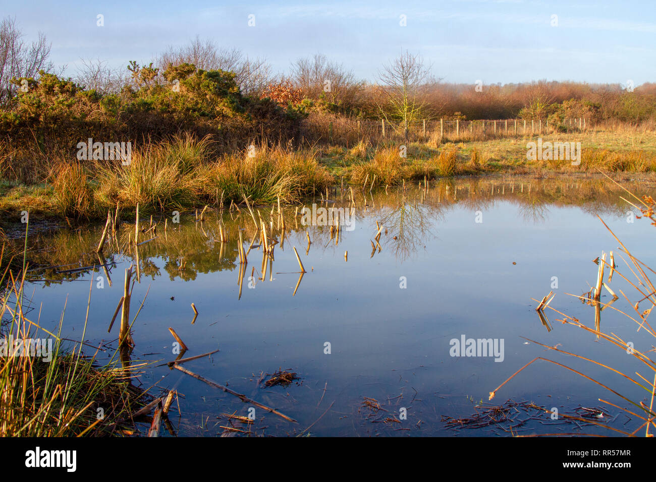 Late spring morning hi-res stock photography and images - Alamy