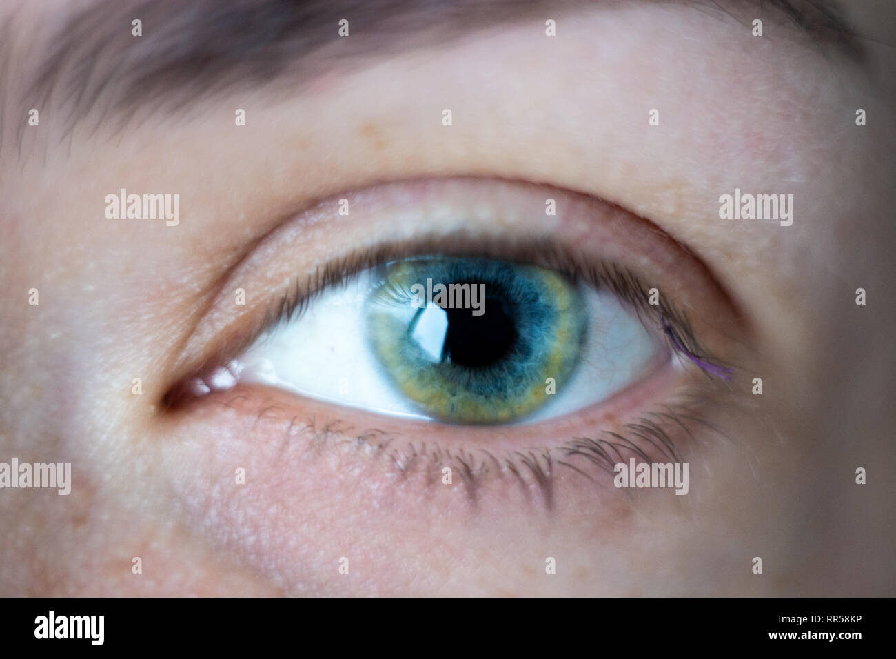 Close-up on female green open eye Stock Photo - Alamy