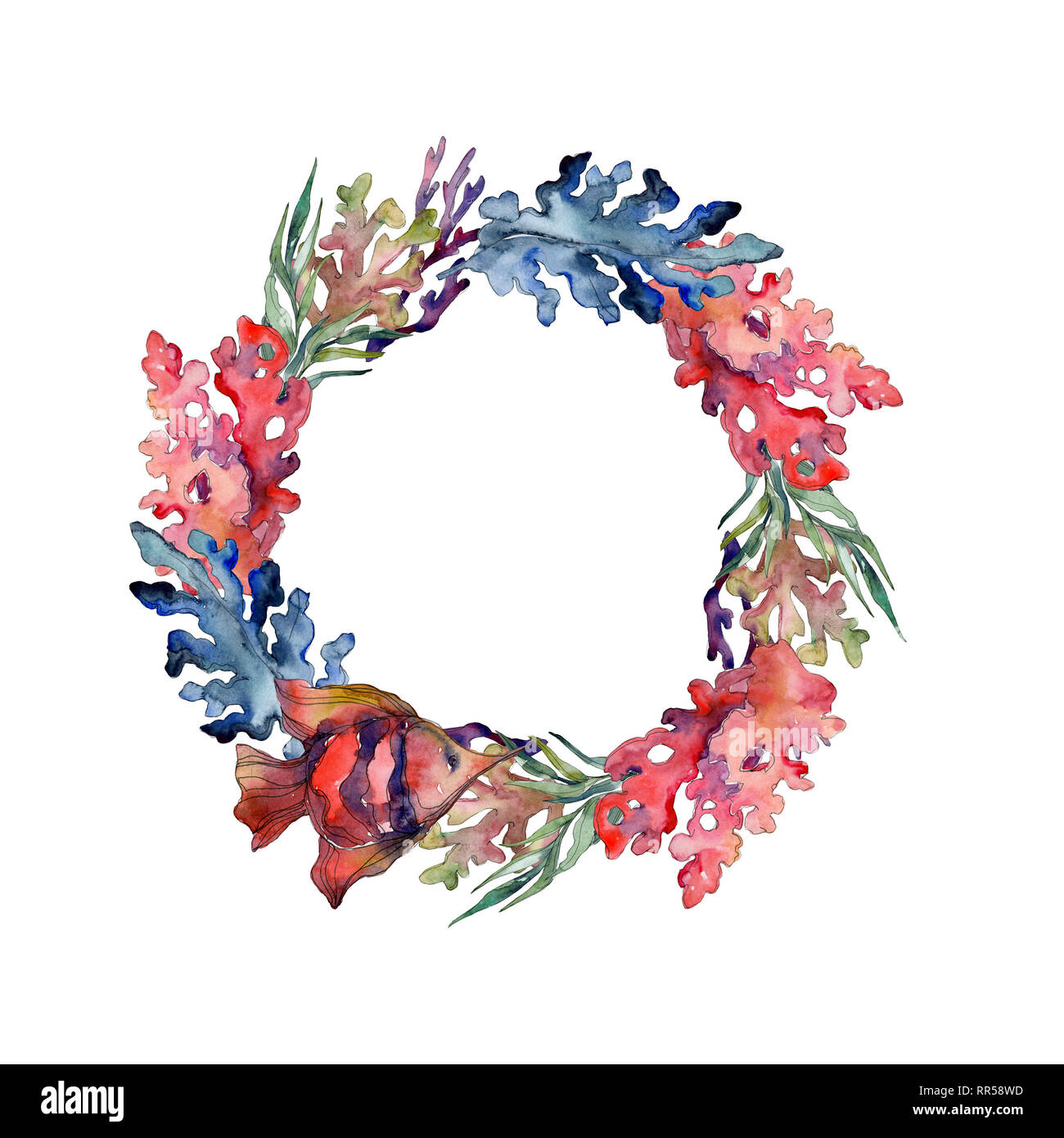 Red and blue aquatic underwater nature coral reef. Watercolor ...
