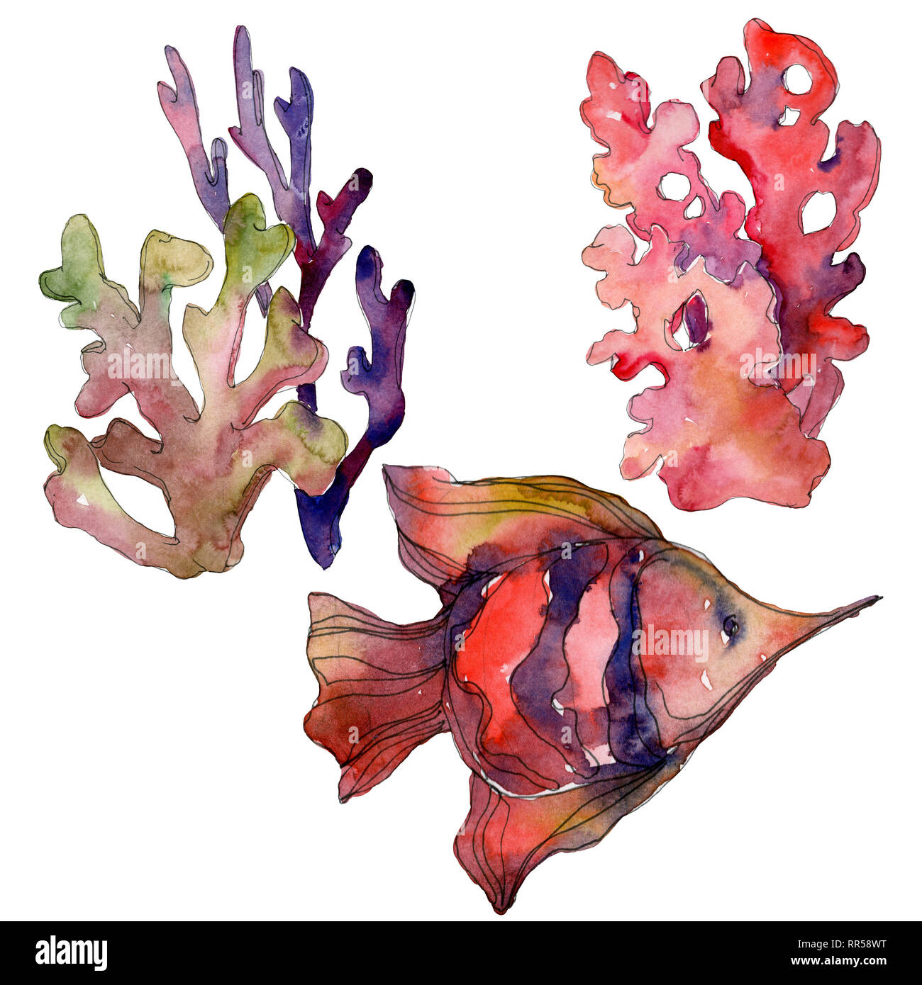 Coral Reef Watercolor Painting