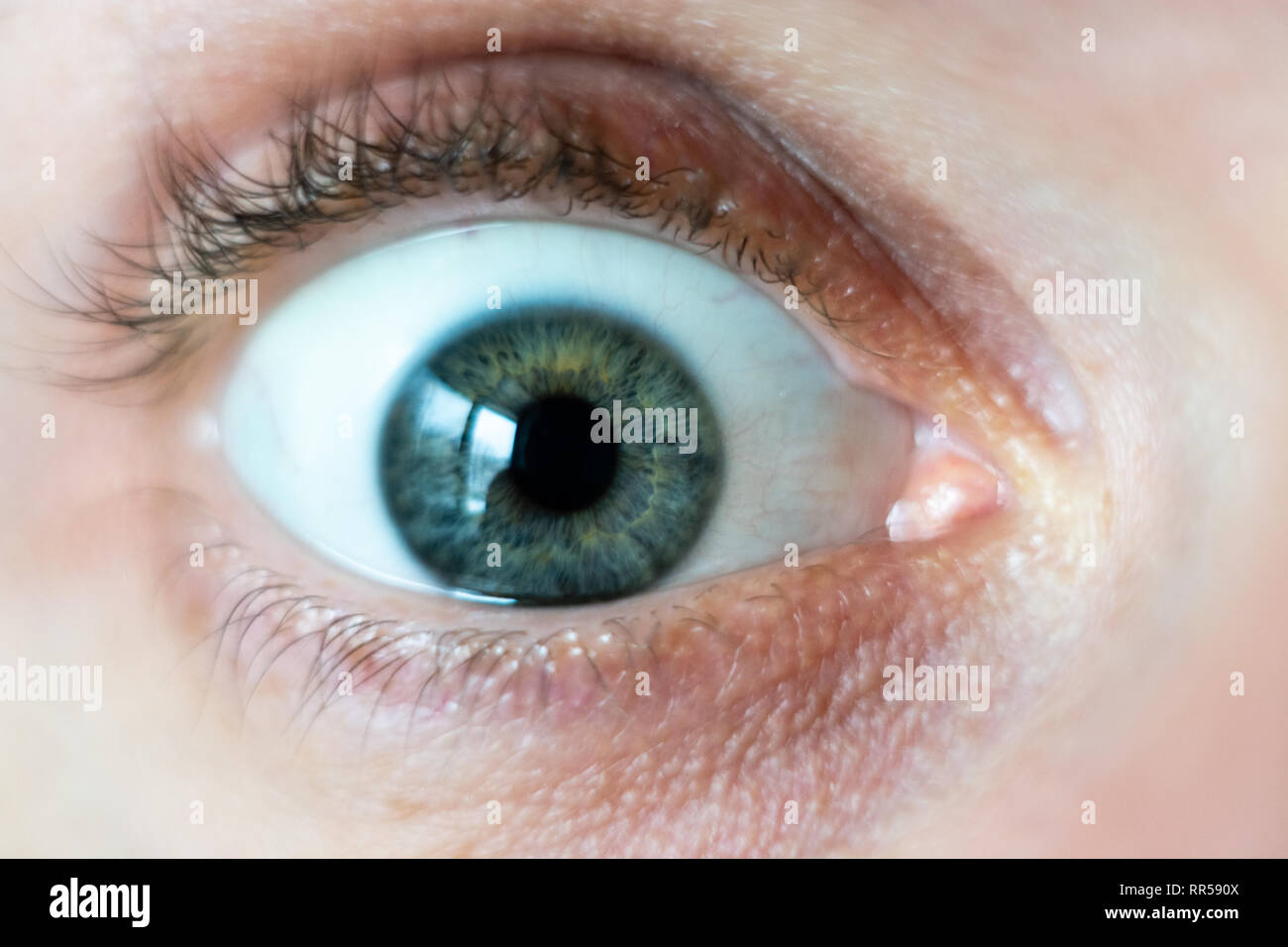 Wide open lens hi-res stock photography and images - Alamy