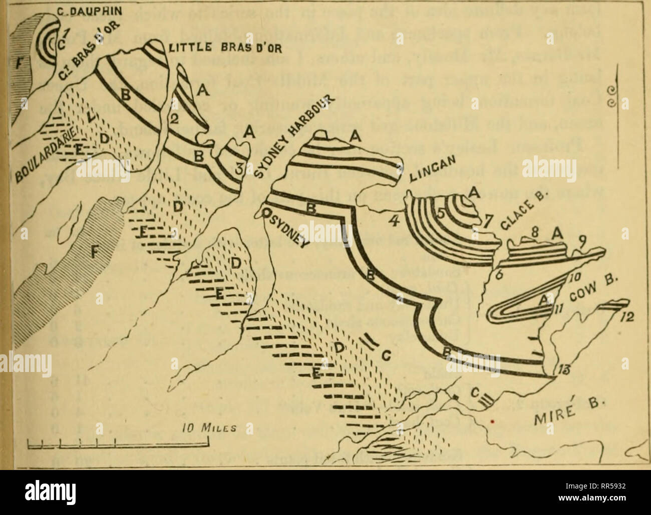 . Acadian geology : the geological structure, organic remains, and ...
