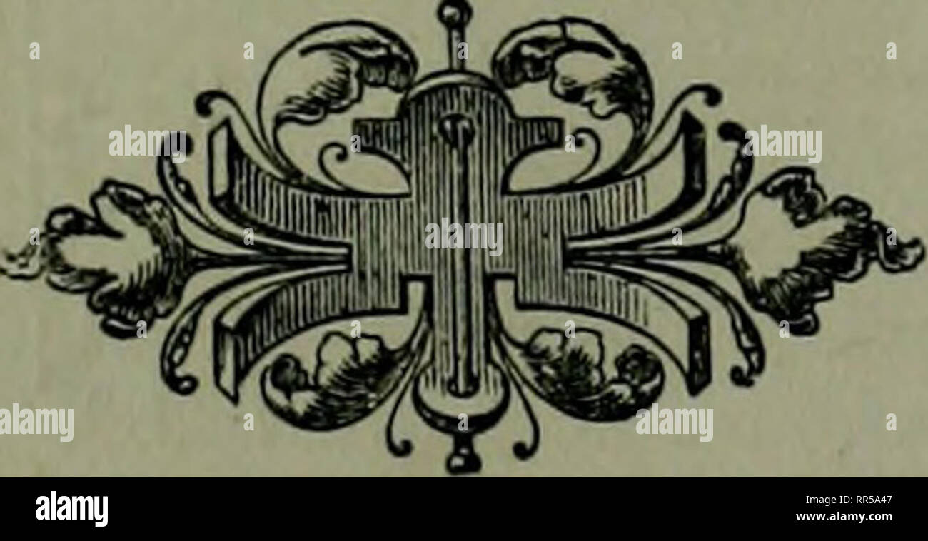 Dryopithecus hi-res stock photography and images - Alamy