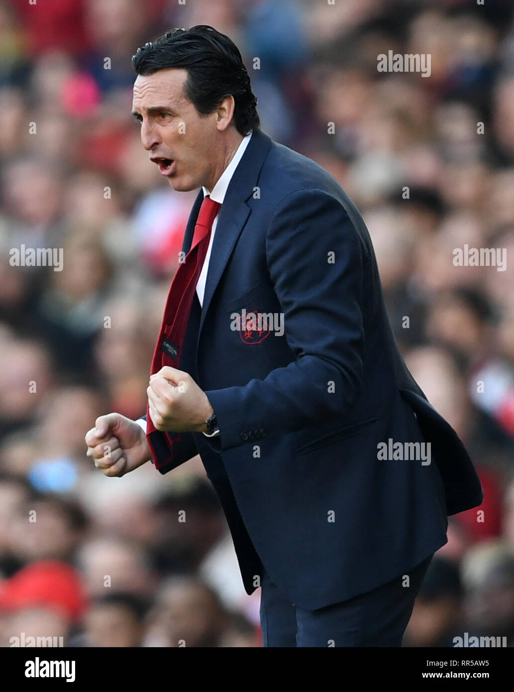 Arsenal manager Unai Emery during the Premier League match at the ...
