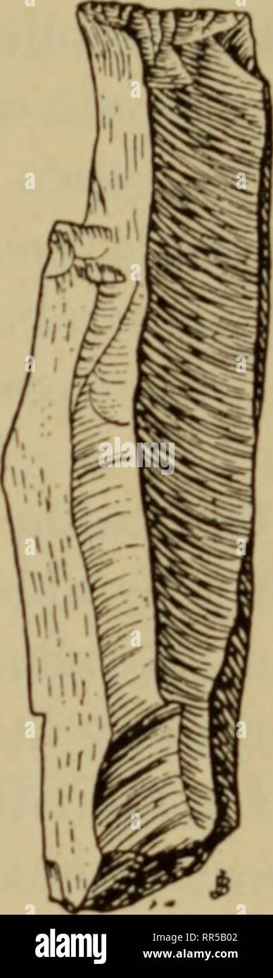 Burin prehistoric hi-res stock photography and images - Alamy