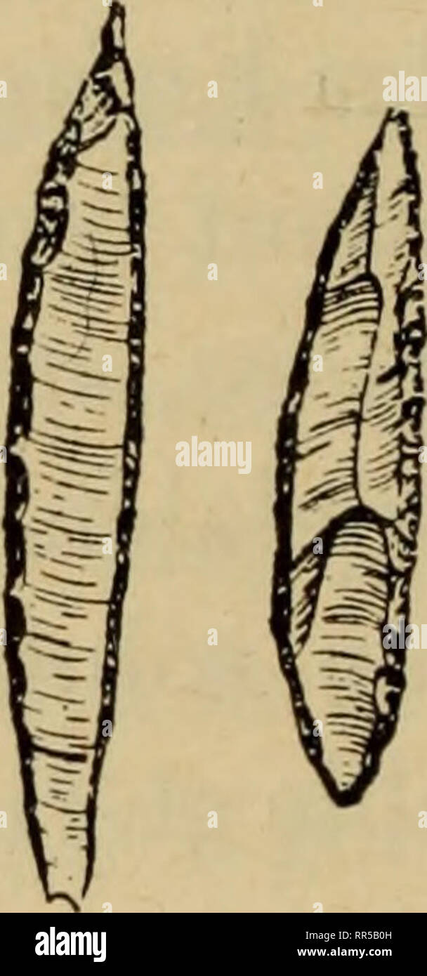 Burin retouches hi-res stock photography and images - Alamy