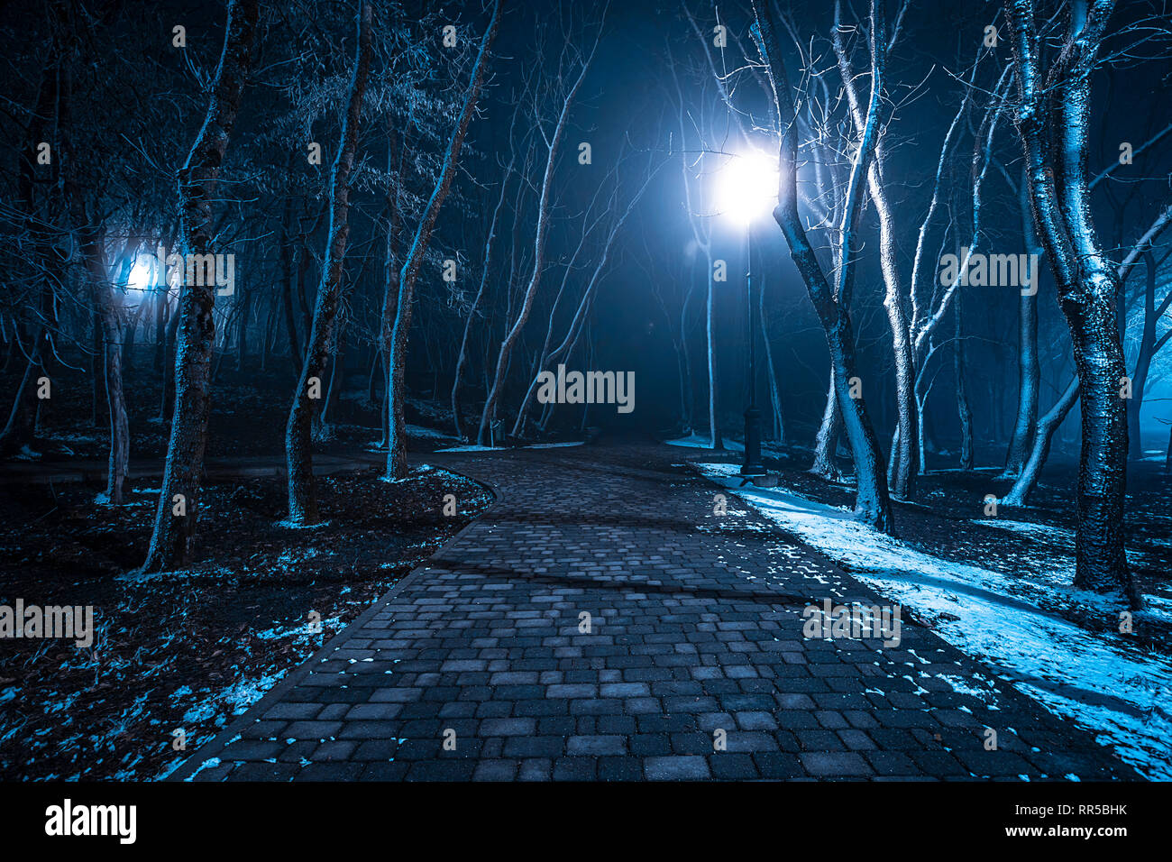 Sunlight winter trees shadows mist hi-res stock photography and images ...