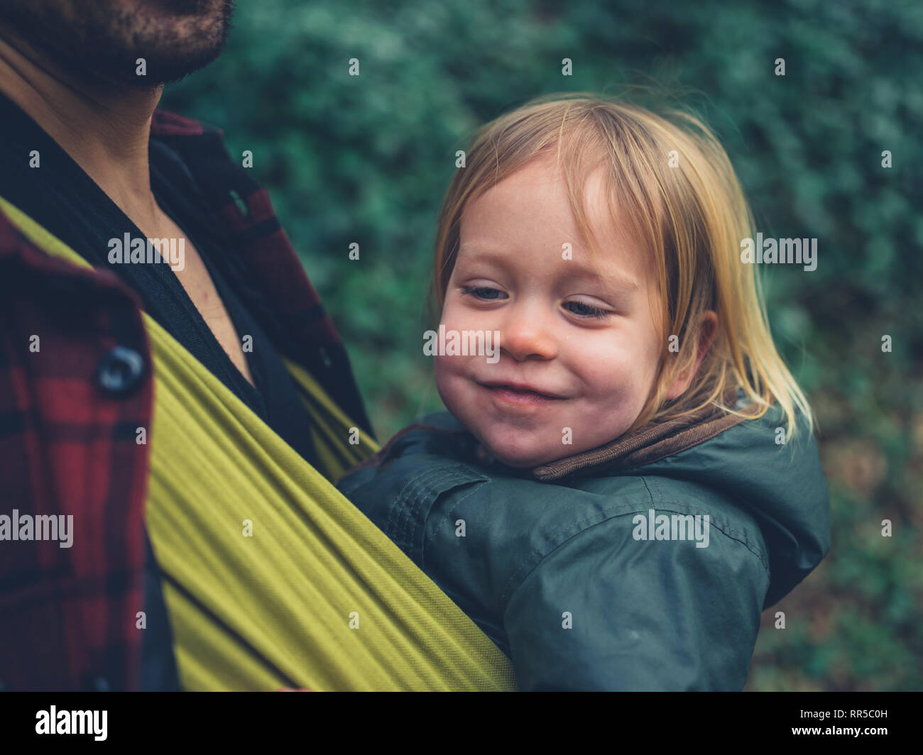 A happy little toddler is being carried by his father in a sling Stock ...