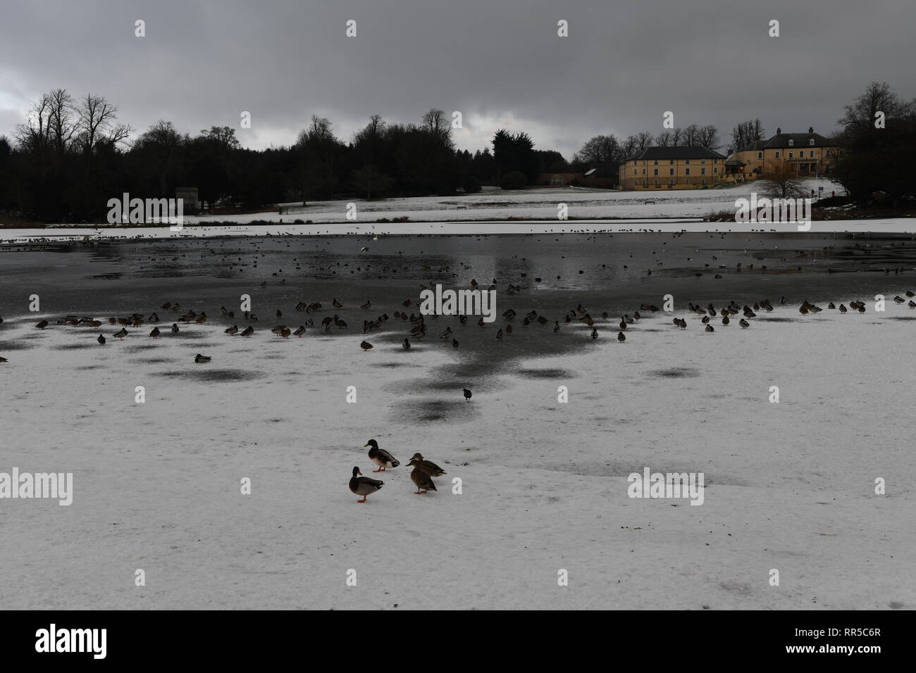 Hardwick Hall Country Park, Sedgefield, Co. Durham, TS21 2EH Stock ...