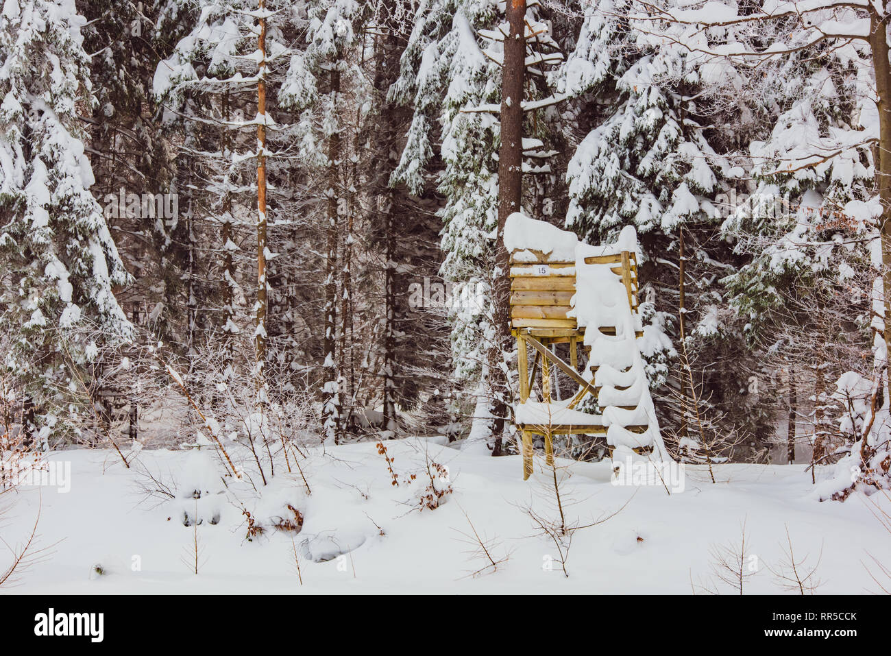 Simple wooden hunting box covered in snow. Hunting deer blind next to a ...
