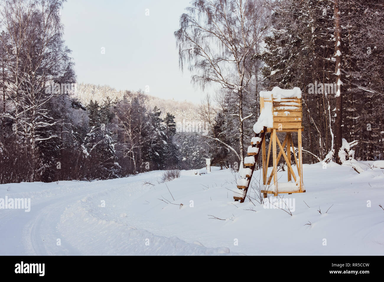 Simple wooden hunting box covered in snow. Hunting deer blind next to a ...