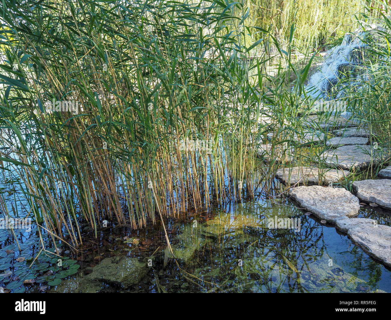 Artificial water hi-res stock photography and images - Alamy