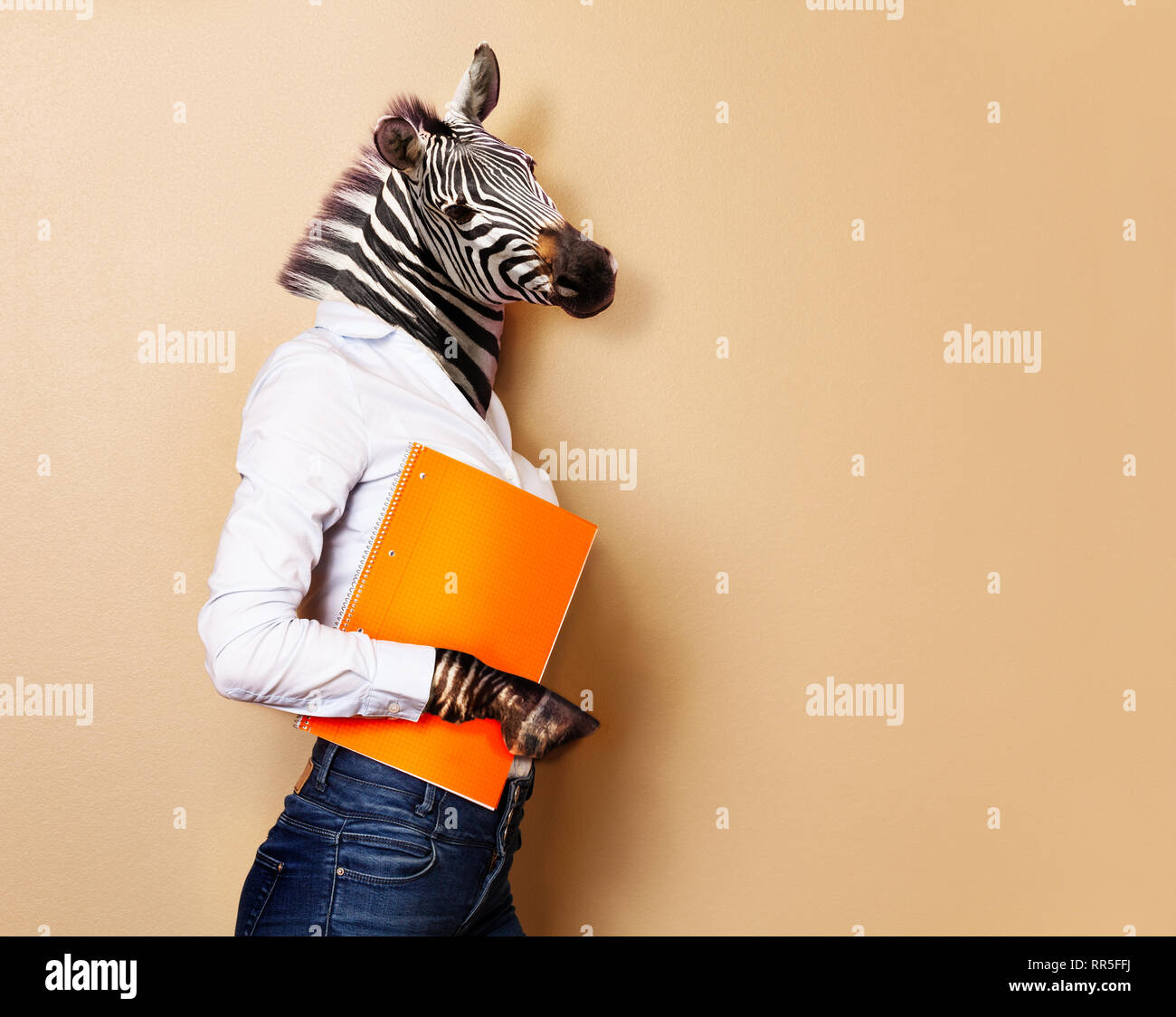 Zebra head woman office worker concept portrait Stock Photo - Alamy