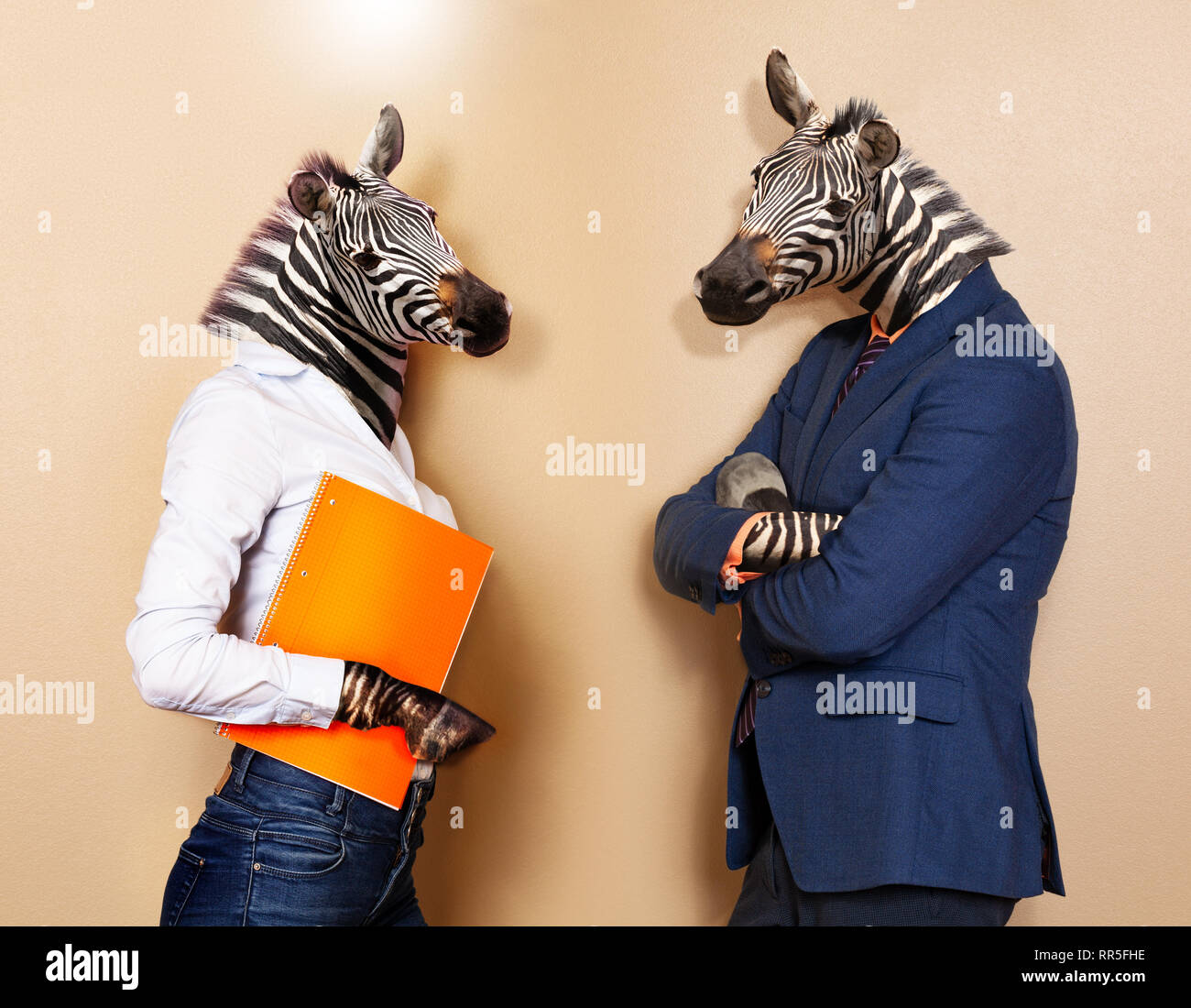 Office workers concept of male and female zebras Stock Photo - Alamy