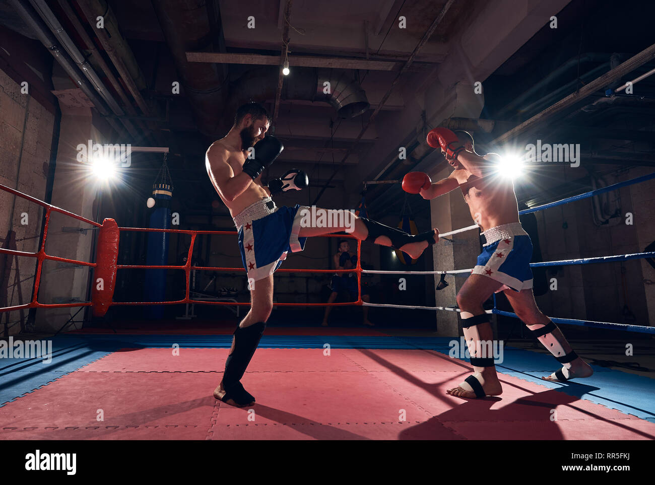 Two healthy sportsmen male boxers training kickboxing, fighting in the ...