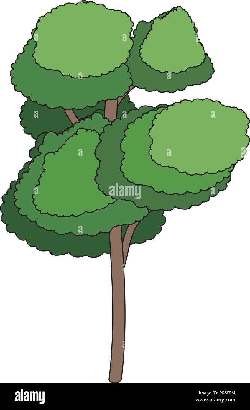 nature tree cartoon Stock Vector Image & Art - Alamy