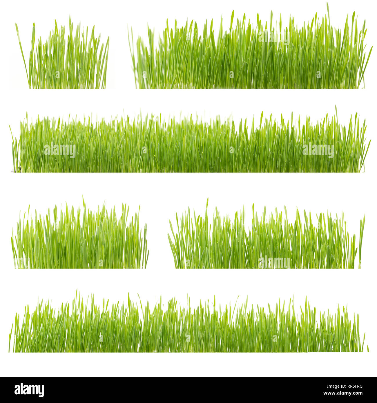 Green nature white hi-res stock photography and images - Alamy