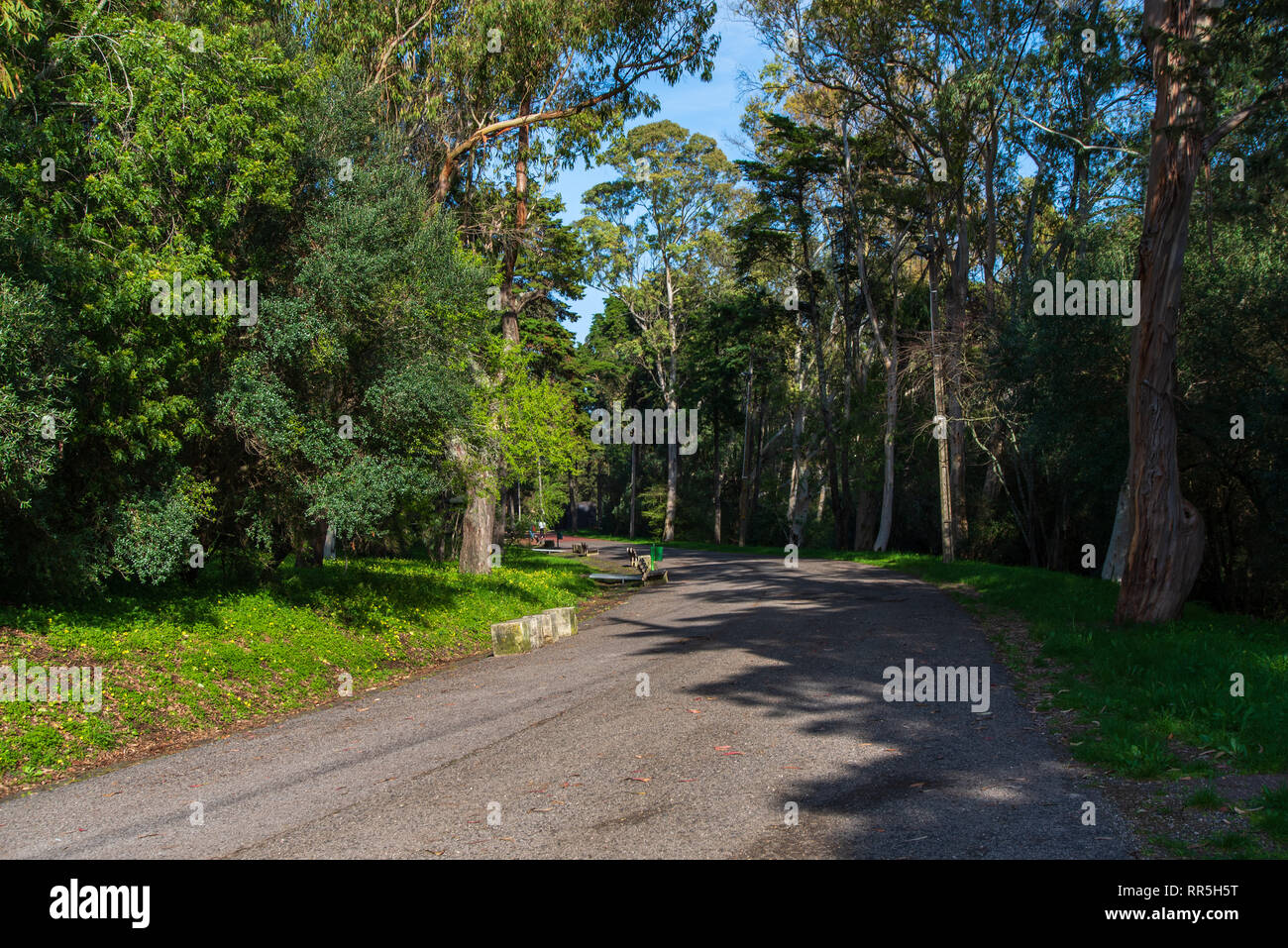View of Monsanto Park in Lisbon, Monsanto park is the major green area ...
