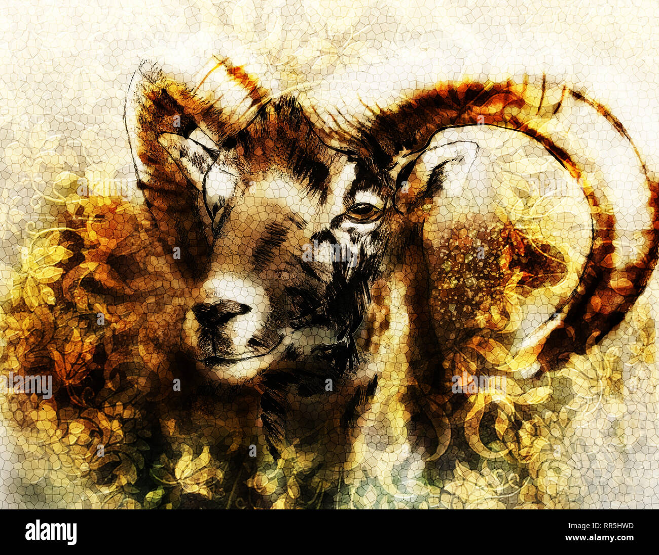 Drawing of male wild sheep with mighty horns on flower background Stock ...