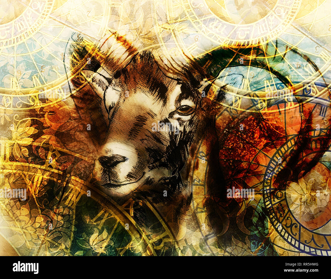 Drawing of male wild sheep with mighty horns and zodiac Stock Photo - Alamy