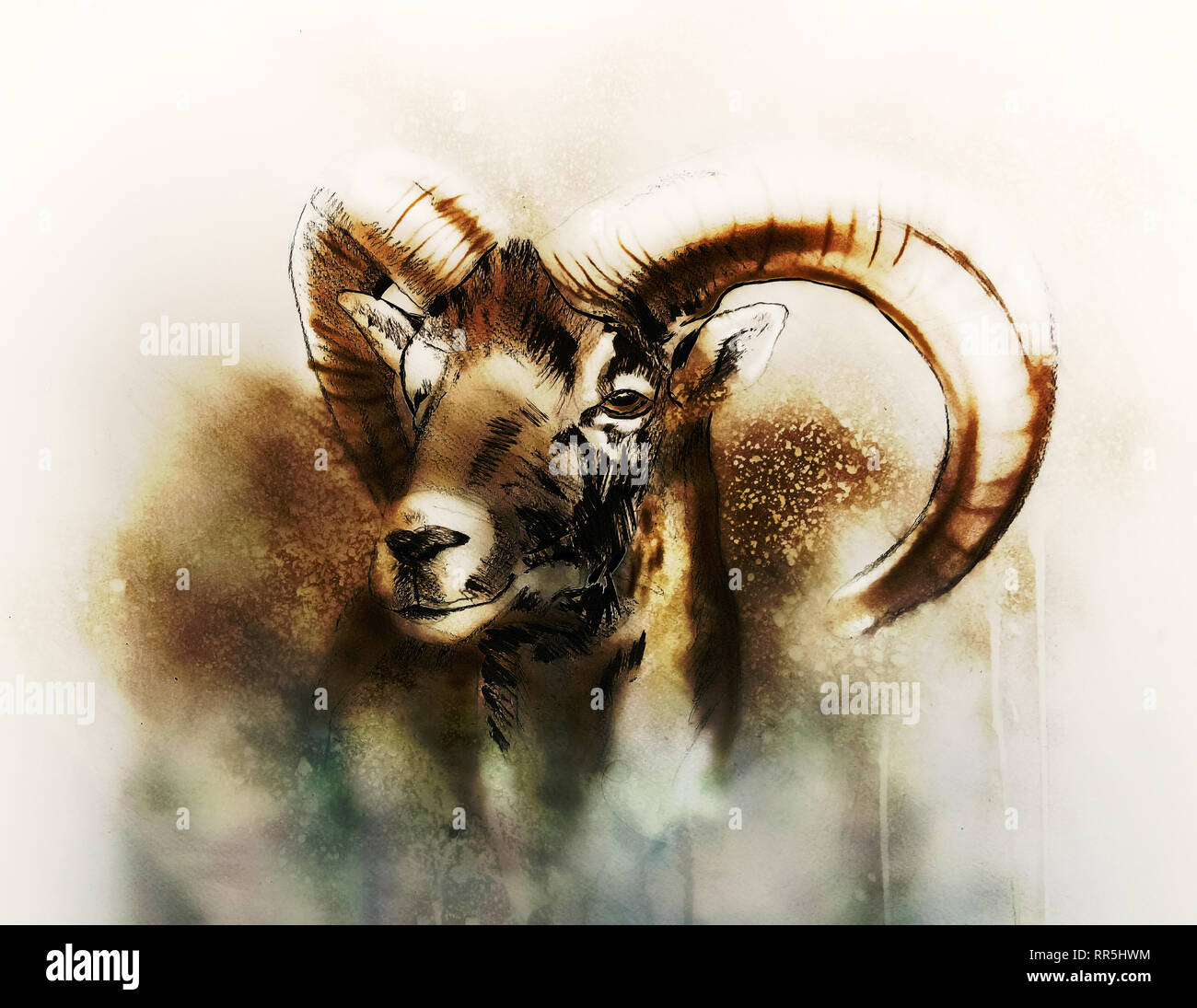 Drawing of male wild sheep with mighty horns on abstract blurry ...