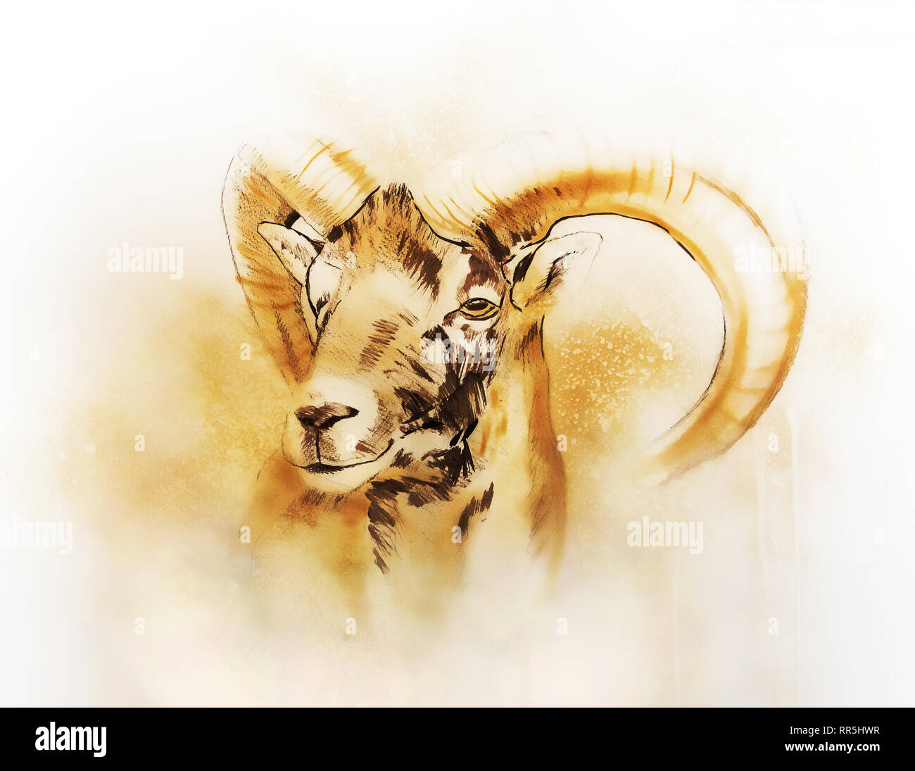 Drawing of male wild sheep with mighty horns on abstract blurry ...