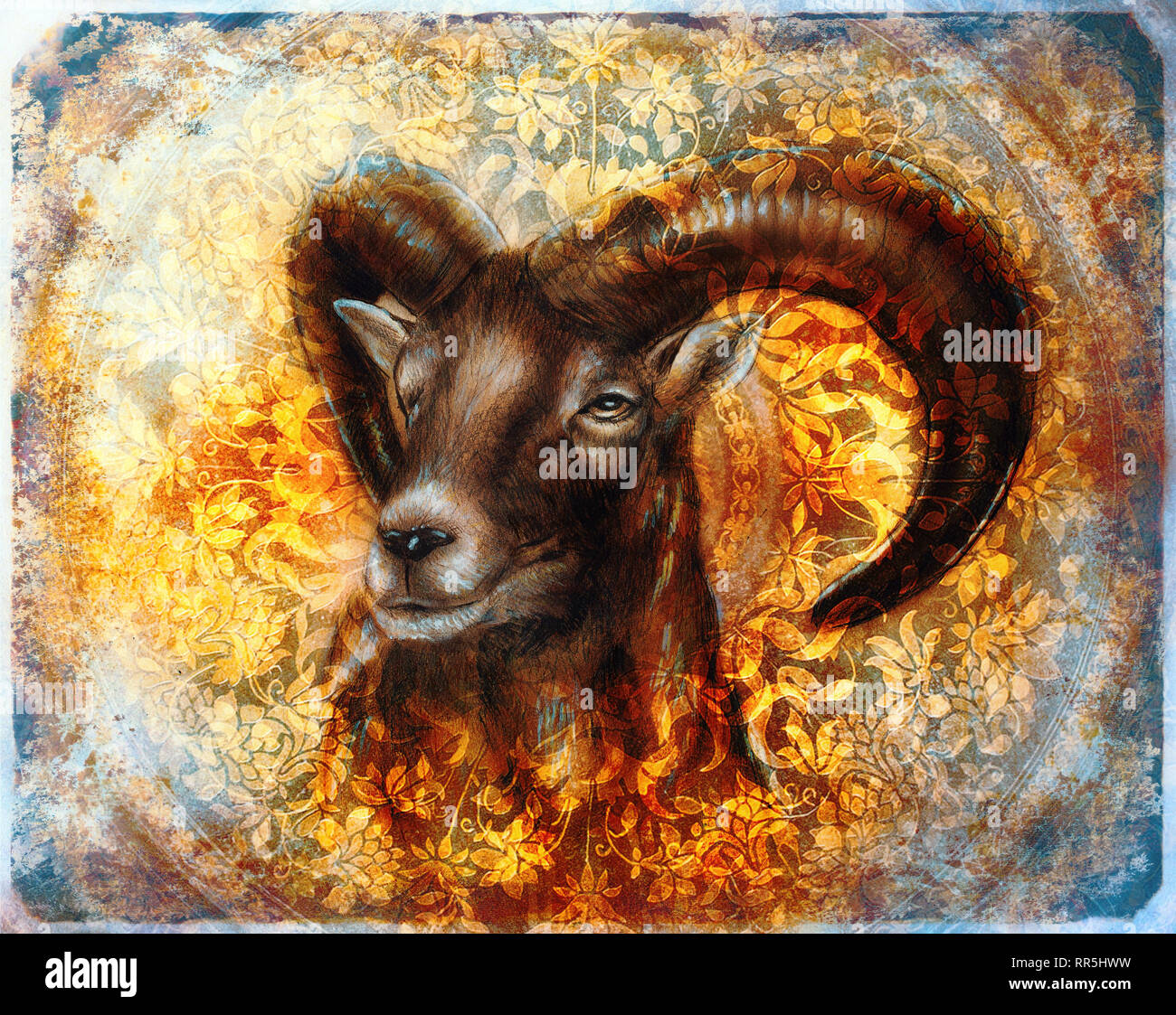 Drawing of male wild sheep with mighty horns on flower background Stock ...
