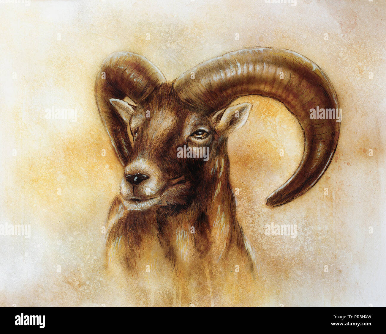 Drawing of male wild sheep with mighty horns on abstract blurry ...