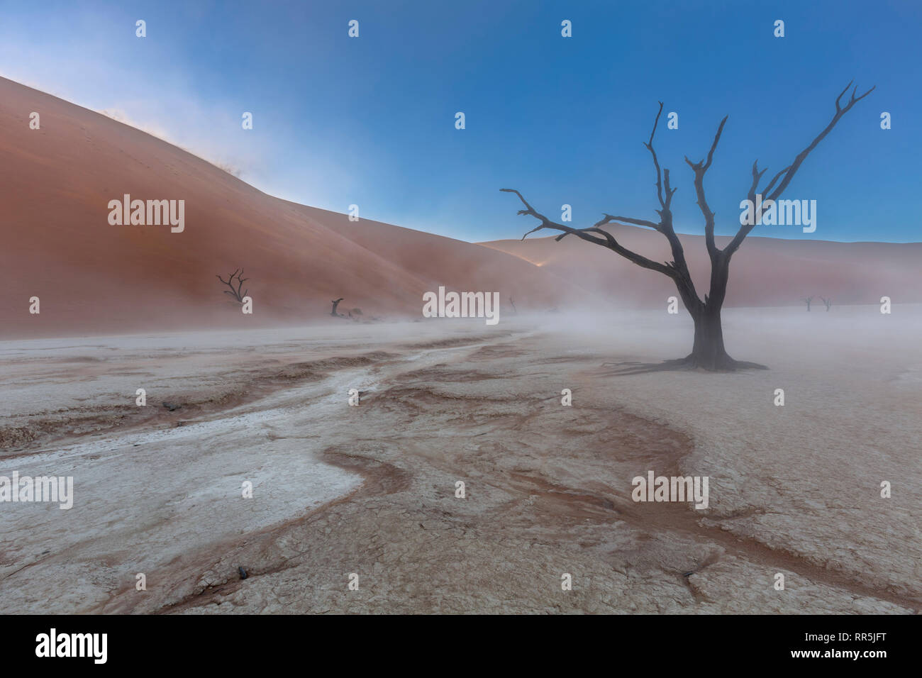 Sossusvlei namibia storm clouds hi-res stock photography and images - Alamy