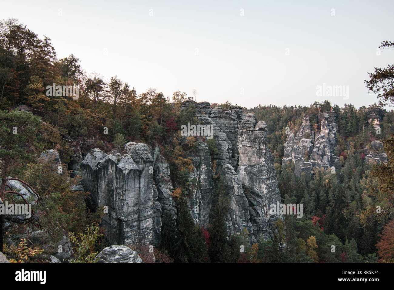 Rock formation with trees in the national park Saxon Switzerland. In ...
