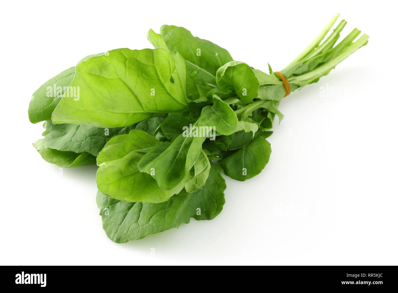 Bunch of fresh rucola isolated on white background Stock Photo - Alamy