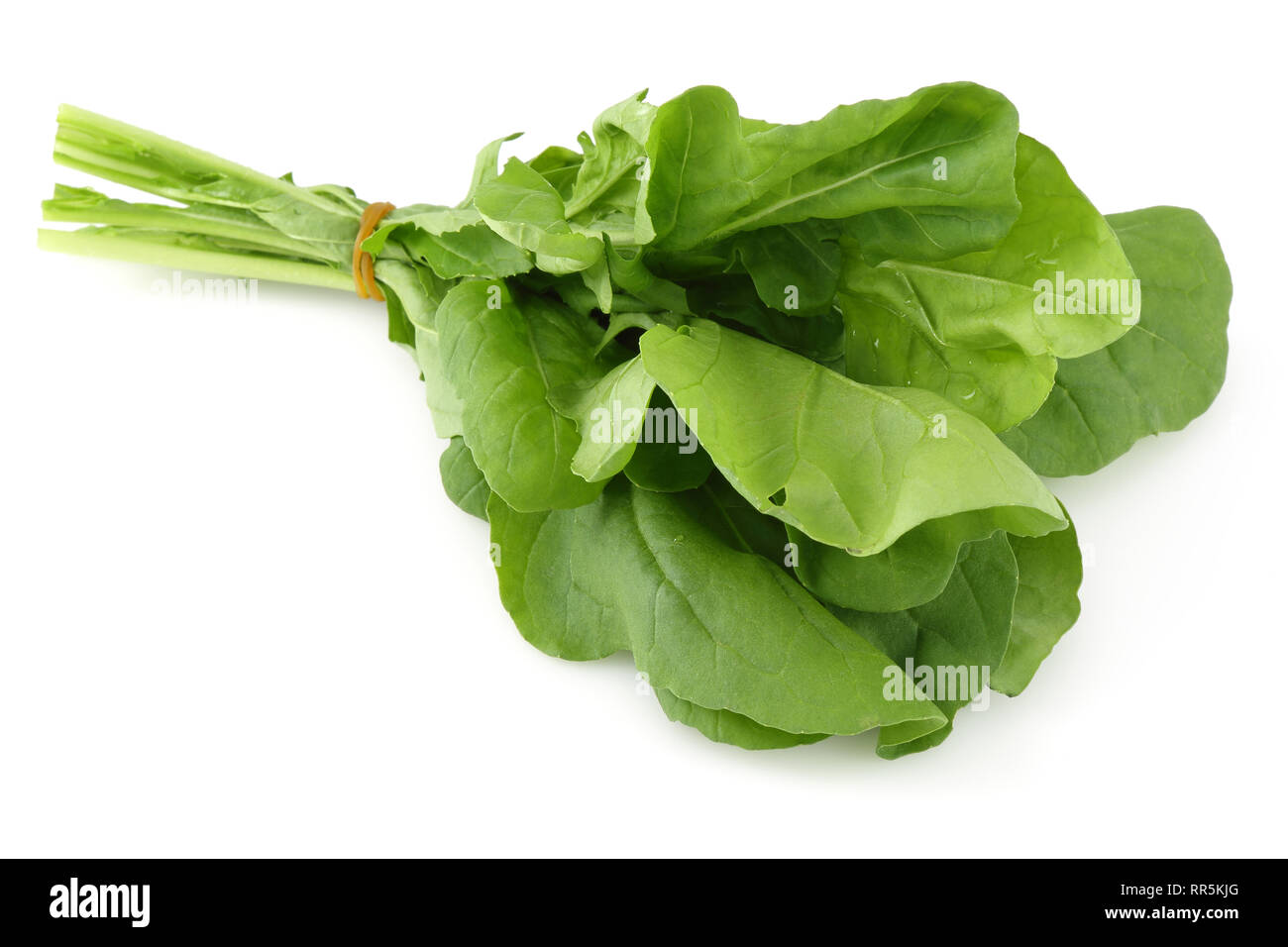Bunch of fresh rucola isolated on white background Stock Photo - Alamy