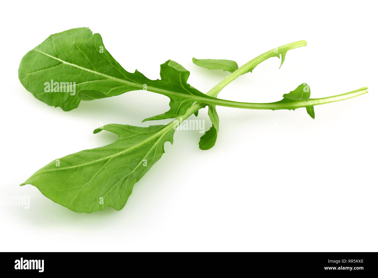 Bunch of fresh rucola isolated on white background Stock Photo - Alamy