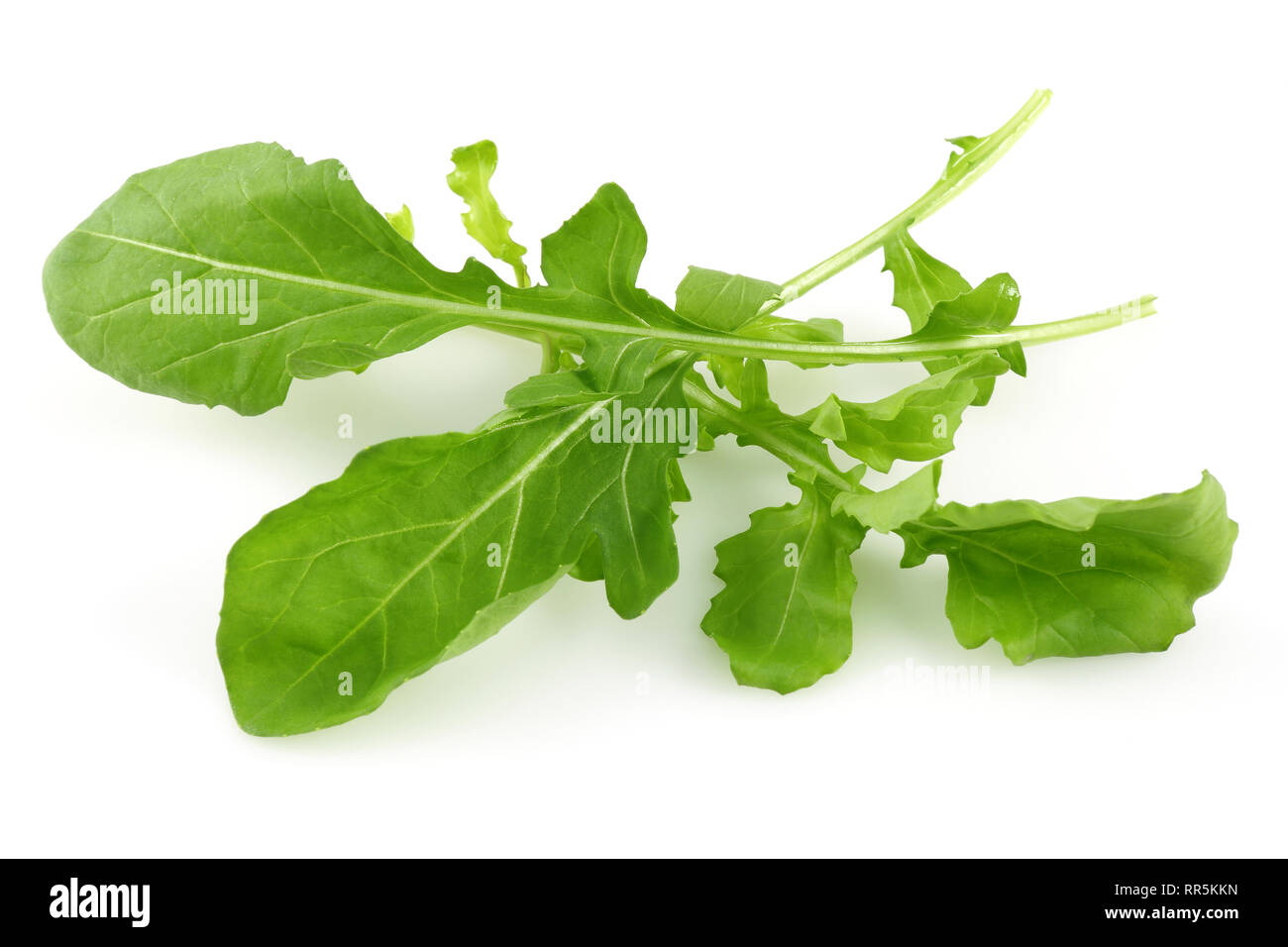 Bunch of fresh rucola isolated on white background Stock Photo - Alamy