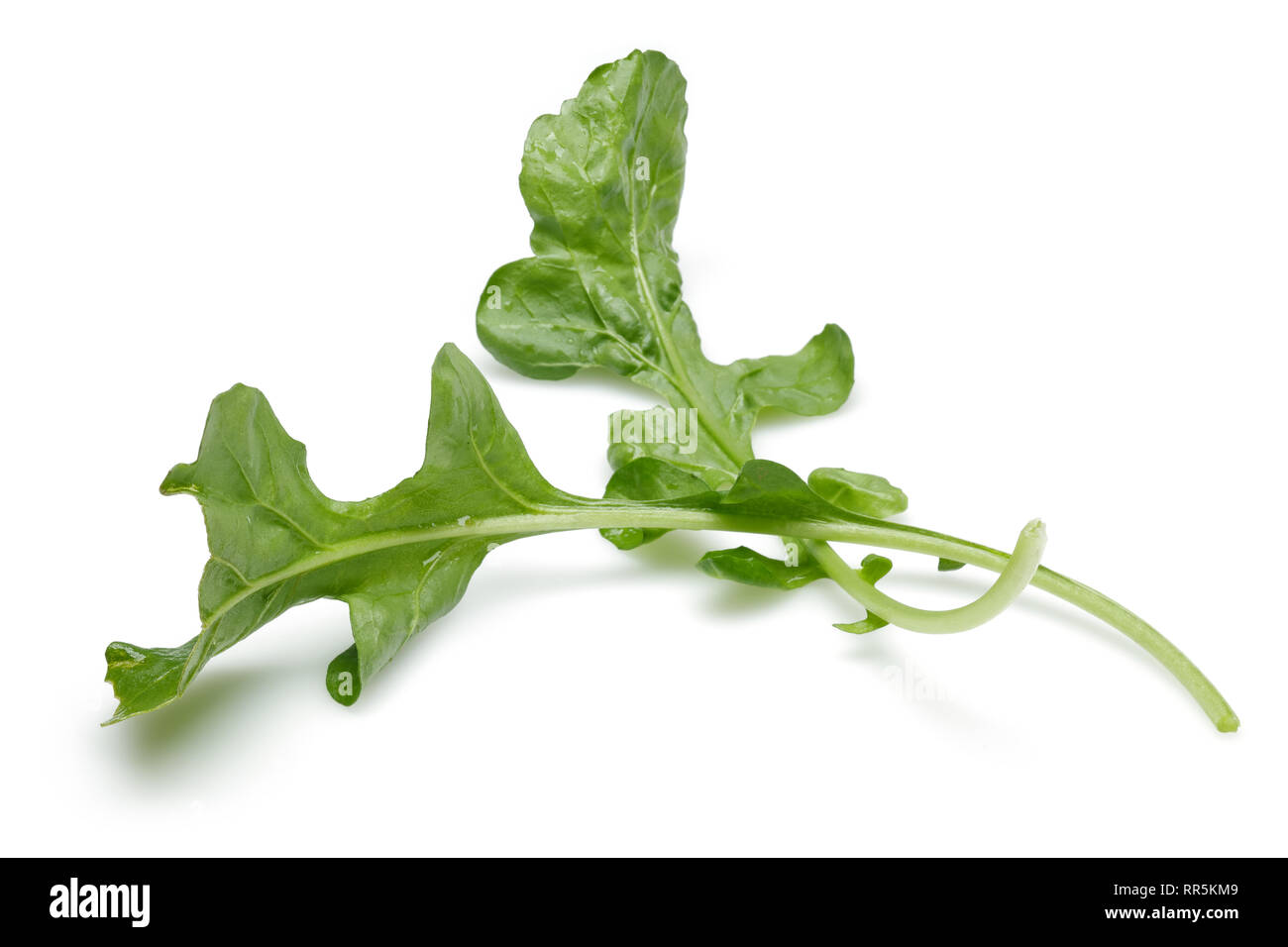 Bunch of fresh rucola isolated on white background Stock Photo - Alamy