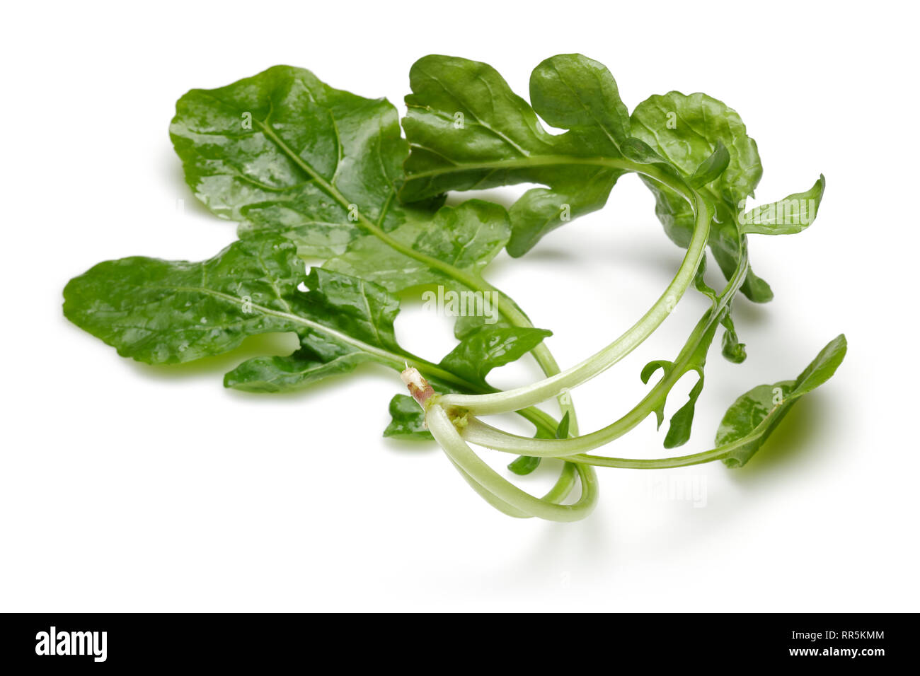 Bunch of fresh rucola isolated on white background Stock Photo - Alamy