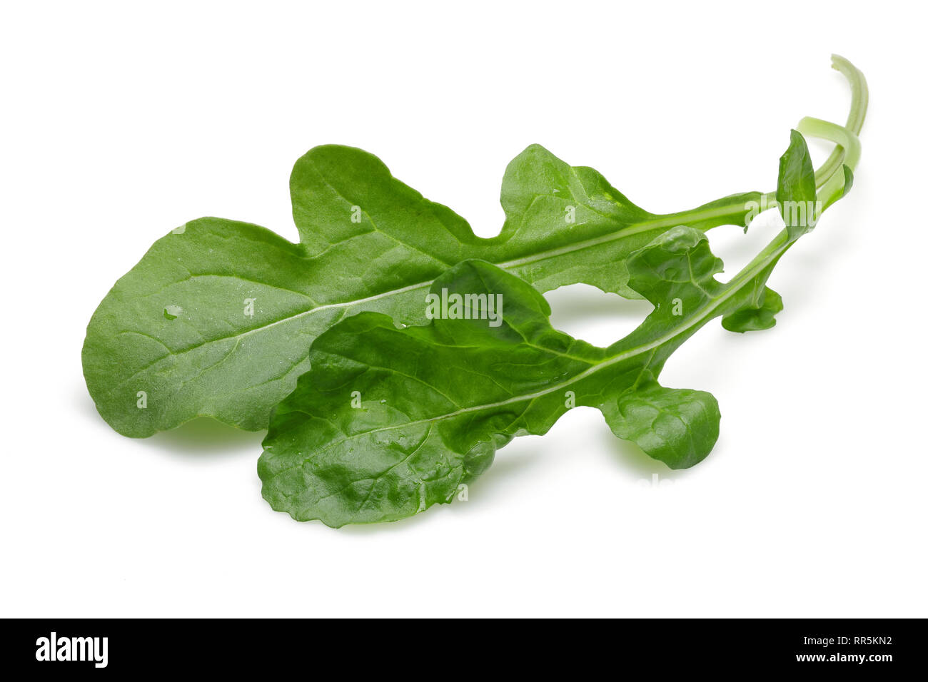 Bunch of fresh rucola isolated on white background Stock Photo - Alamy
