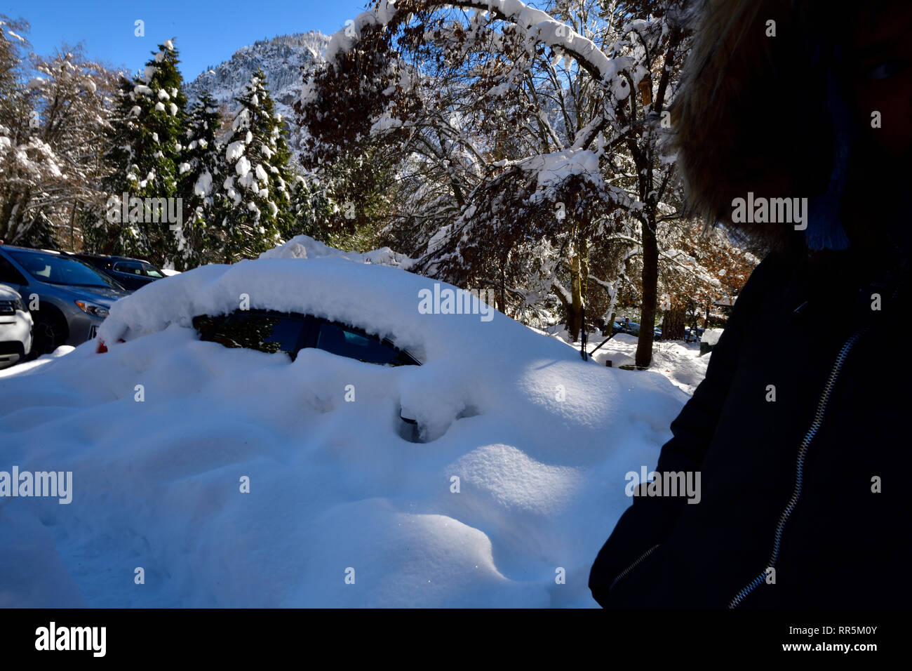Car in snowstorm hi-res stock photography and images - Alamy
