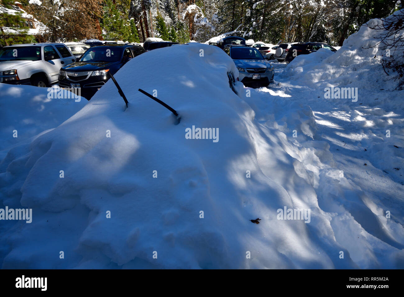 Car in snowstorm hi-res stock photography and images - Alamy