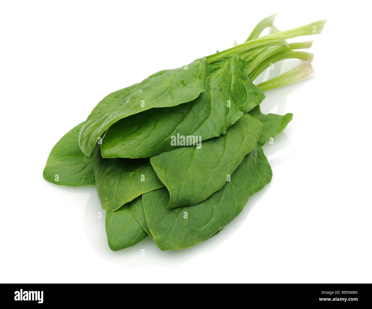 Fresh spinach isolated on white background Stock Photo - Alamy
