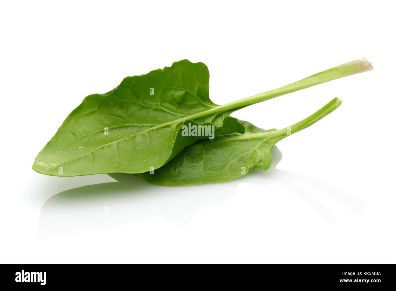 Fresh spinach isolated on white background Stock Photo - Alamy