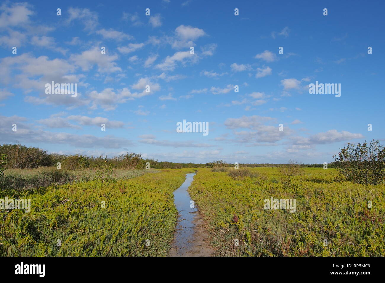 The Coastal Prairie Trail in Everglades National Park, Florida Stock ...