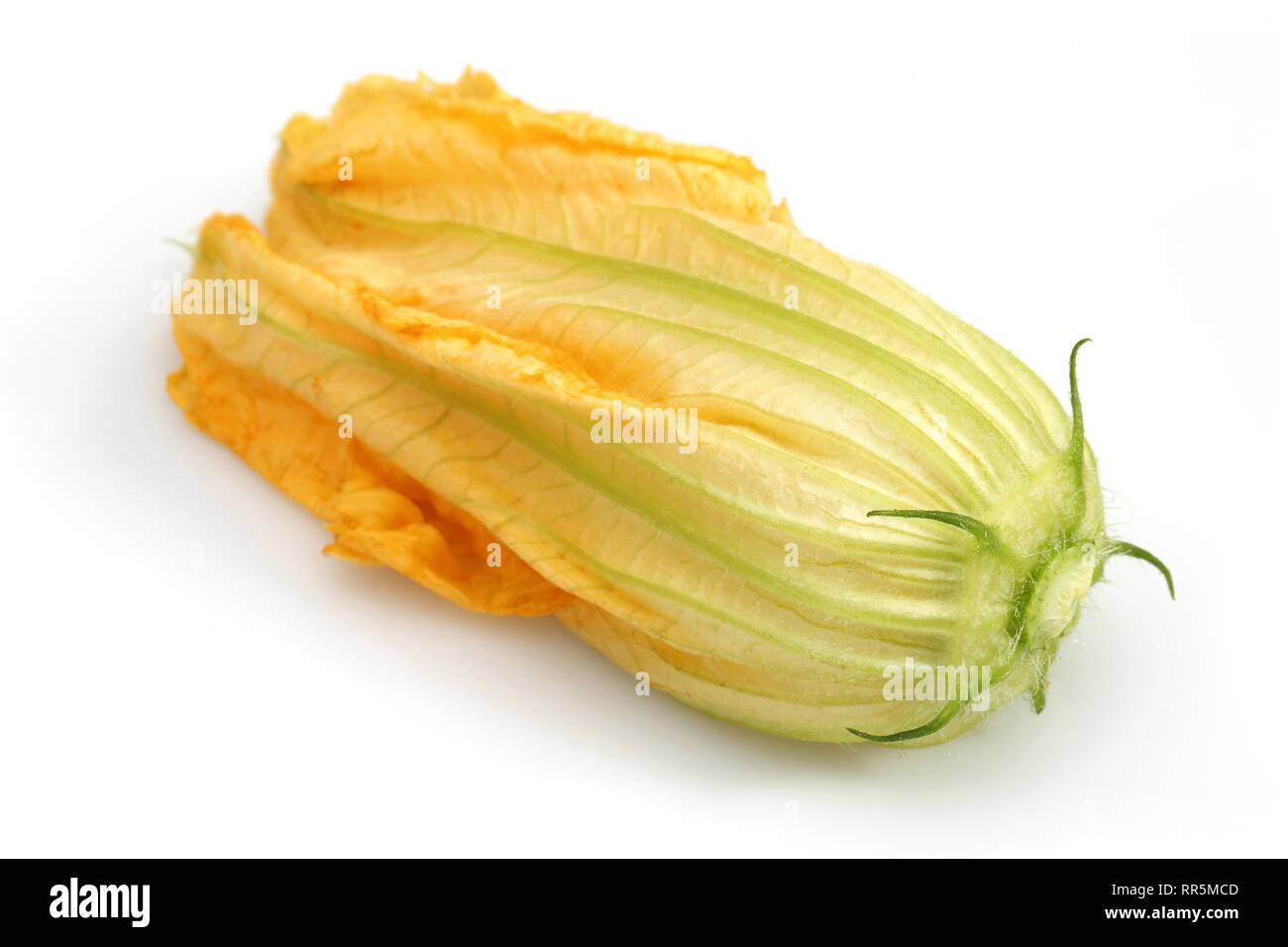 Flower market floor Cut Out Stock Images & Pictures - Alamy